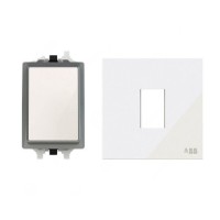 ABB White Glass Electrical Switch with Rocker Frame, 1 Gang, 2 Way, 10A