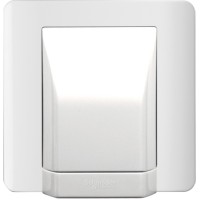 Schneider 45A connection unit White Plate+White Surround - E84554-WW