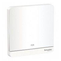 Schneider Pole Switch 45A 1 Gang 2 Pole E8331D45N_WE Price in UAE
