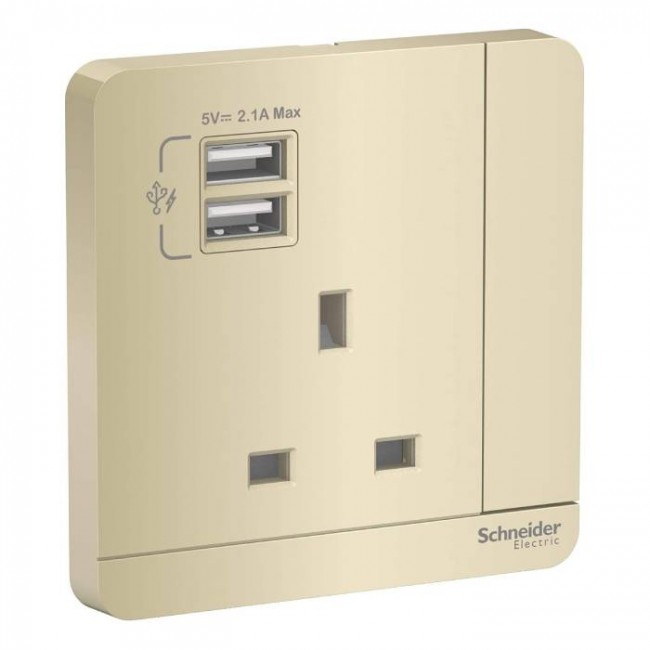 Schneider Avatron Switch Socket with USB E8315USB_WG_G12