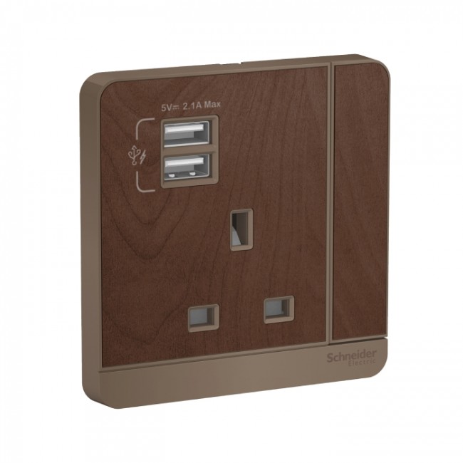 Schneider AvatarOnSwitch Socket with USB 13A 2 USB E8315USB_WD_G12
