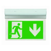ESP Duceri Wall/Ceiling Mounted Emergency Exit Sign Board Down Price in UAE