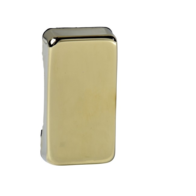 Schneider Ultimate Grid - rocker cover plate - 1 module - brass - GUGRPB